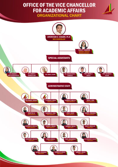 Office of the Vice Chancellor for Academic Affairs - MSU Main Campus ...